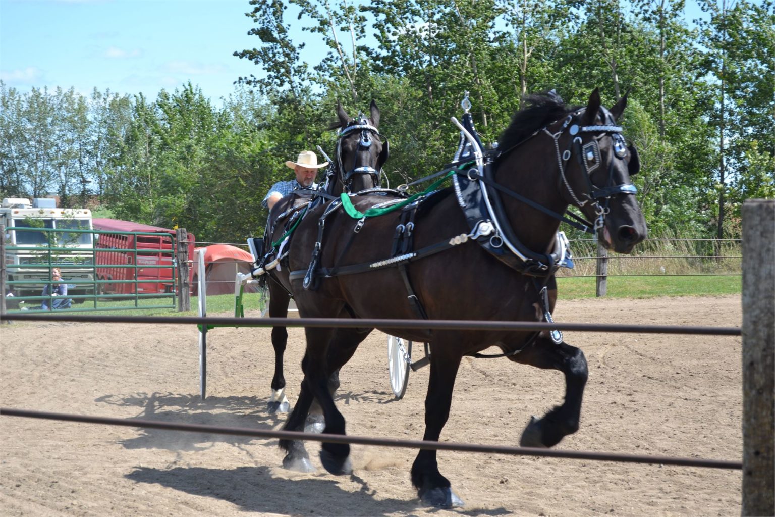 Livestock Exhibitors - McLeod County Fair